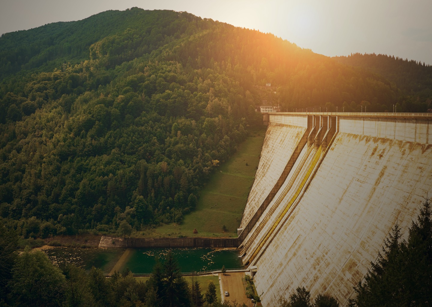 Homepage | Conservation Strategy Fund