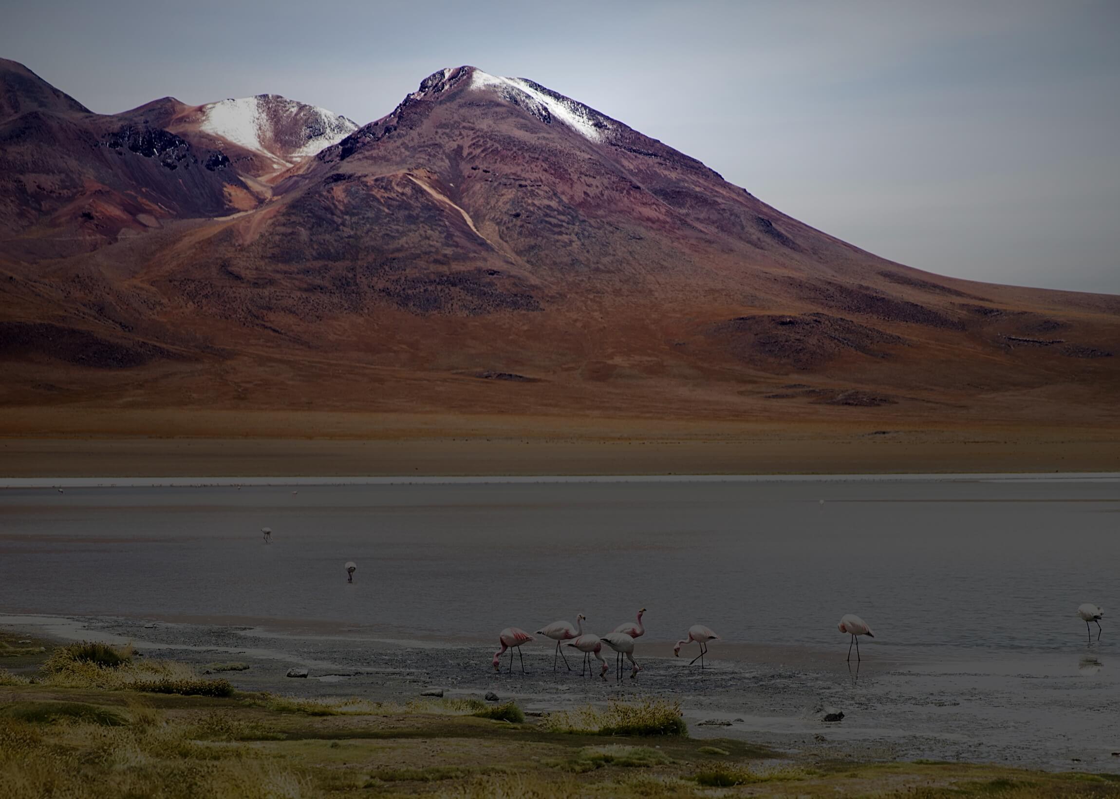 Homepage | Conservation Strategy Fund