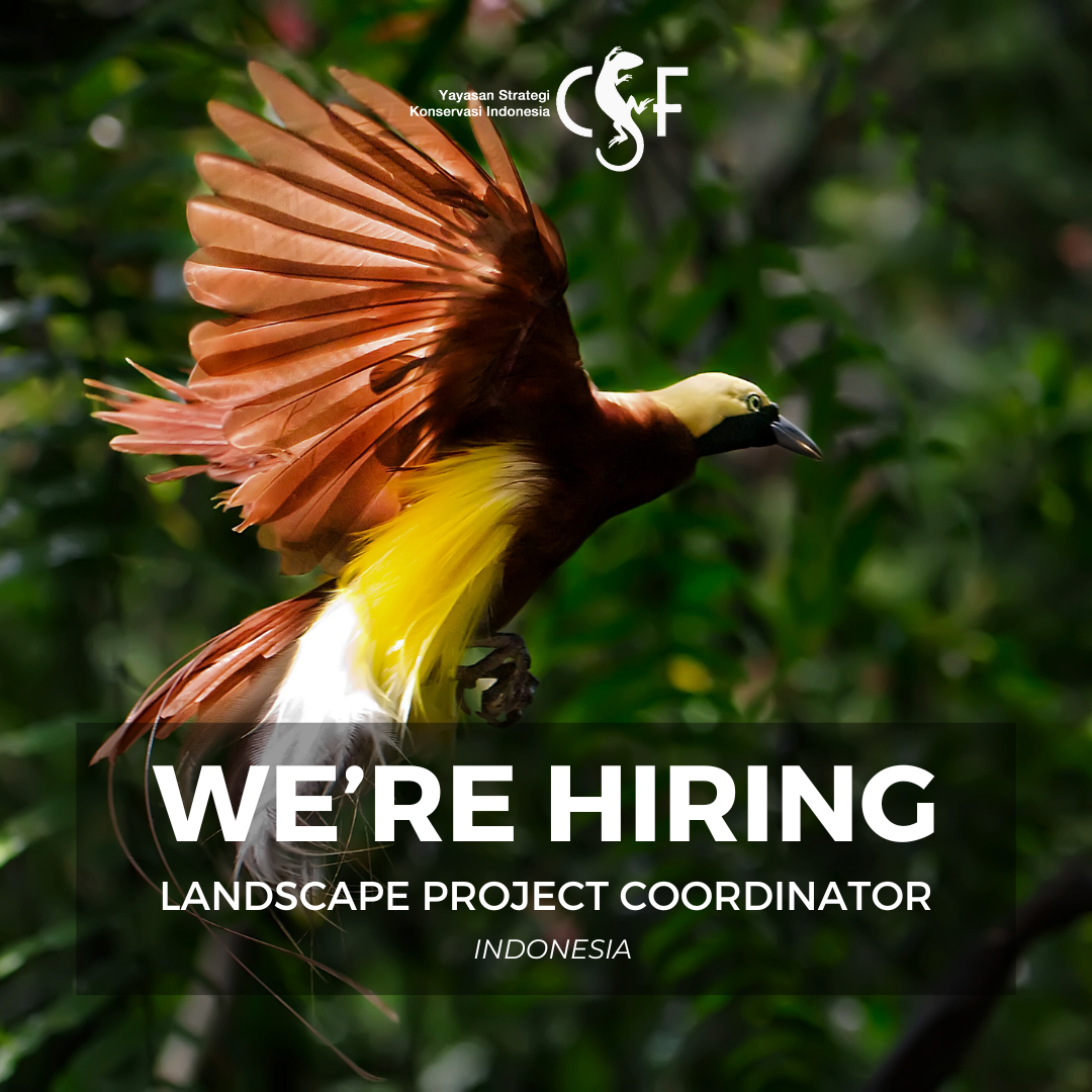 Careers | Conservation Strategy Fund