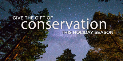 Homepage | Conservation Strategy Fund