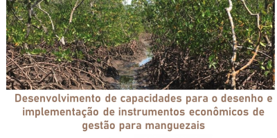 Homepage | Conservation Strategy Fund