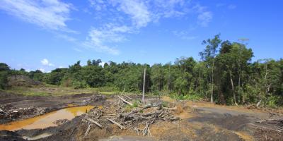 Homepage | Conservation Strategy Fund