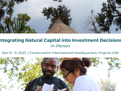 Capacity Building | Conservation Strategy Fund