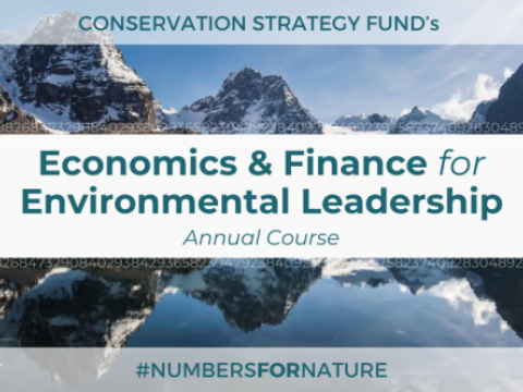 Capacity Building | Conservation Strategy Fund