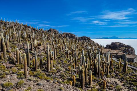 Ecosystem Service Economic Valuation Studies of Bolivia’s Protected ...