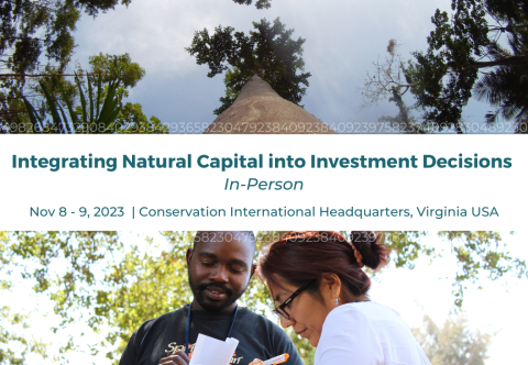 Integrating Natural Capital into Investment Decisions | Conservation ...
