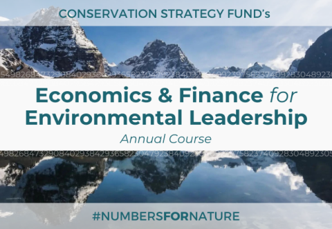 2024 Economics and Finance for Environmental Leadership | Conservation ...
